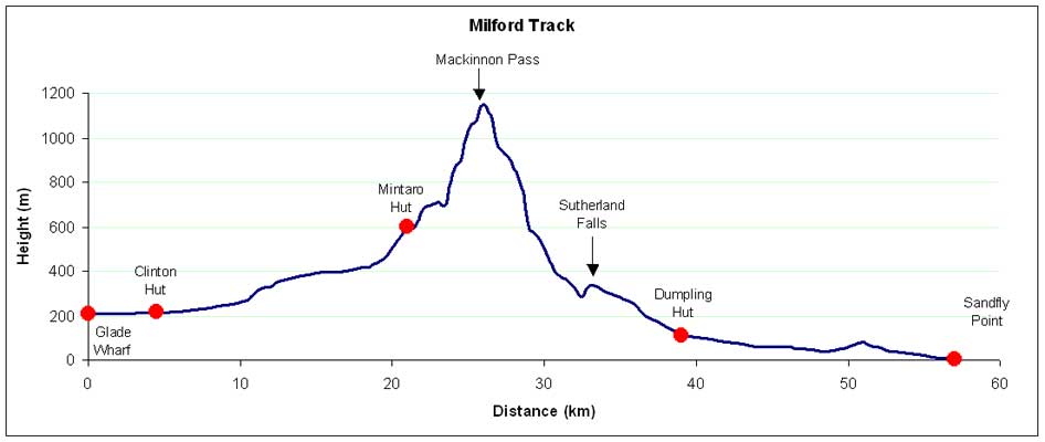 The Milford Track | miss young's adventure